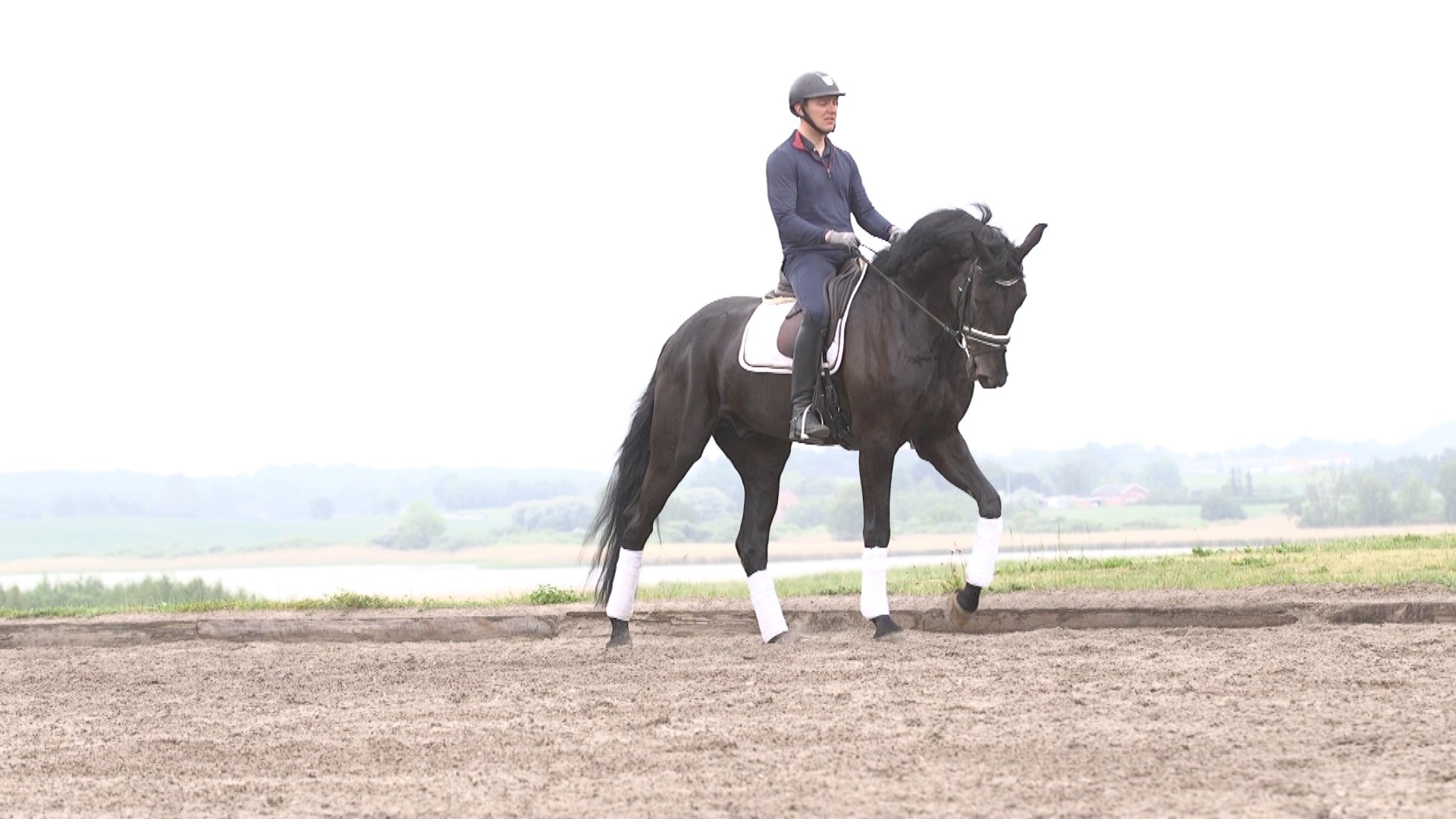 Skridt - trav overgange - Rid Bedre TV