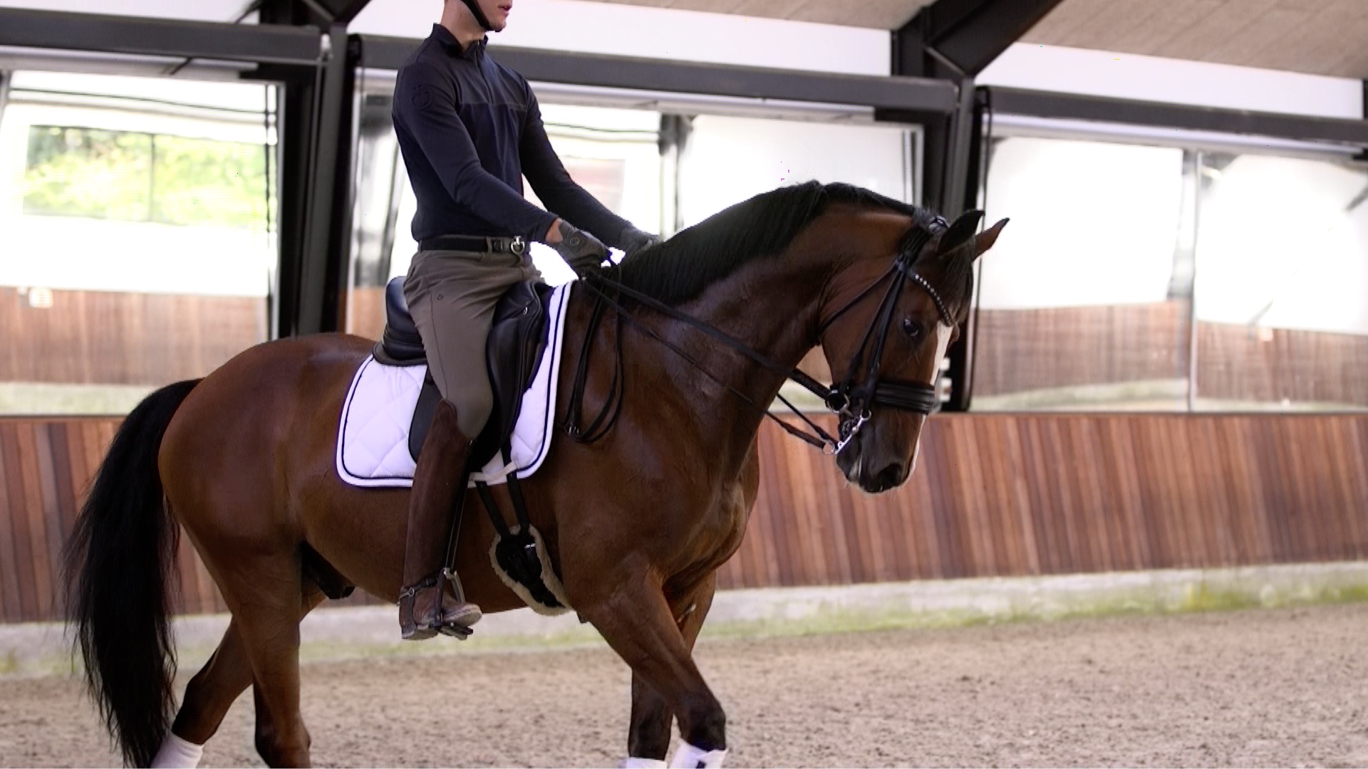 Daniel Bachmann - Træn hesten i den form, der passer den bedst - Rid ...